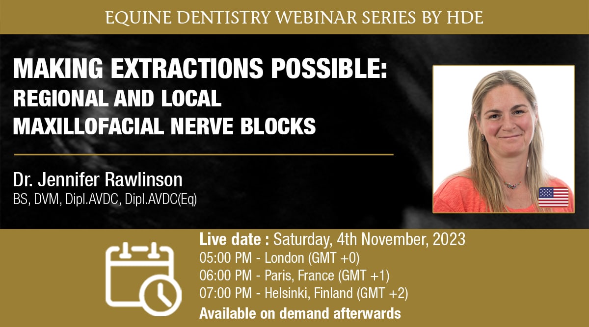 [HDE Webinar] Making Extractions Possible: Regional and Local ...